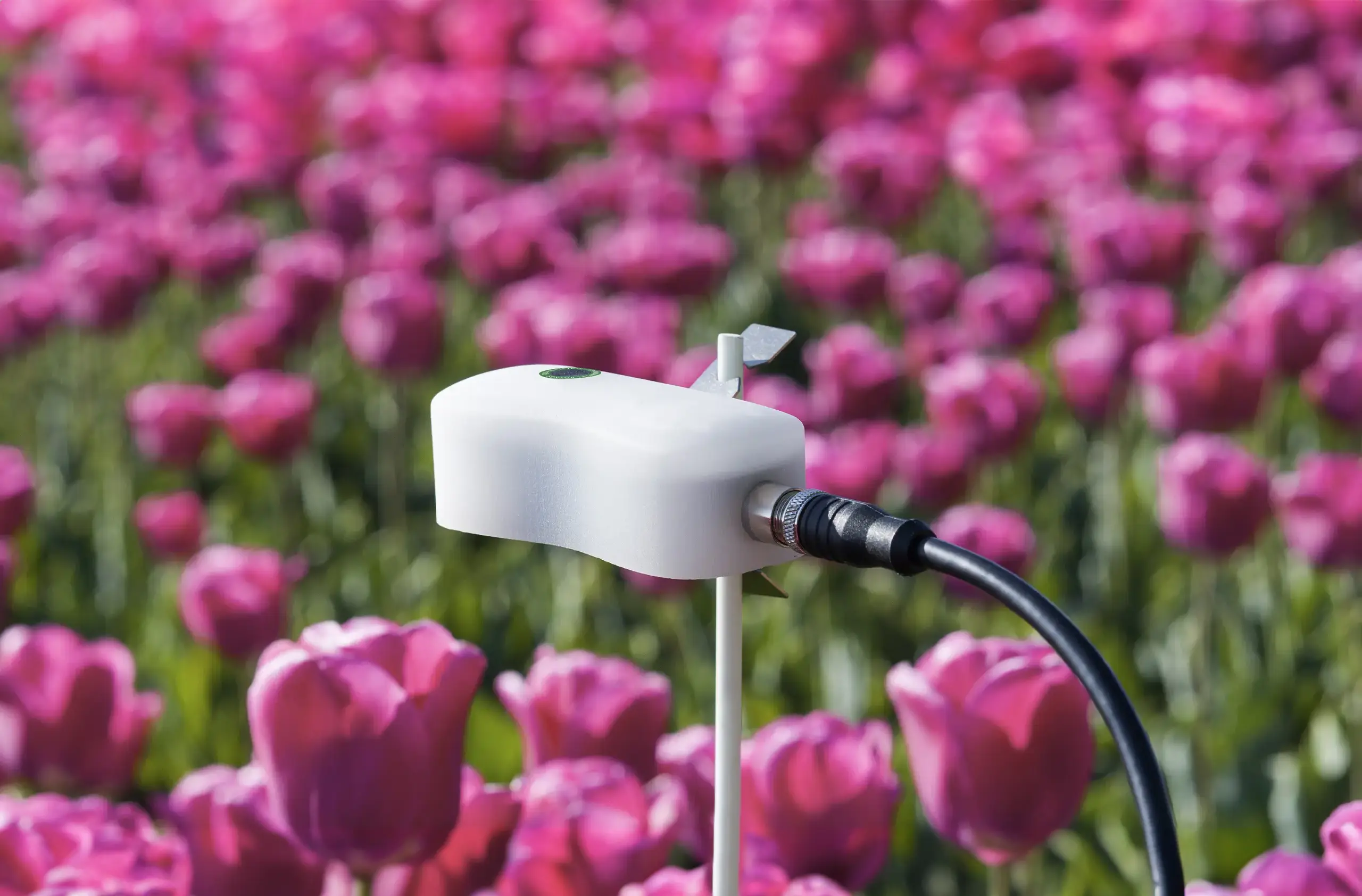 FireFly agricultural Sensors for Quantified Technology - Groen & Boothman
